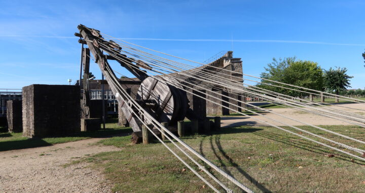 Roman Crane - Roman Geek