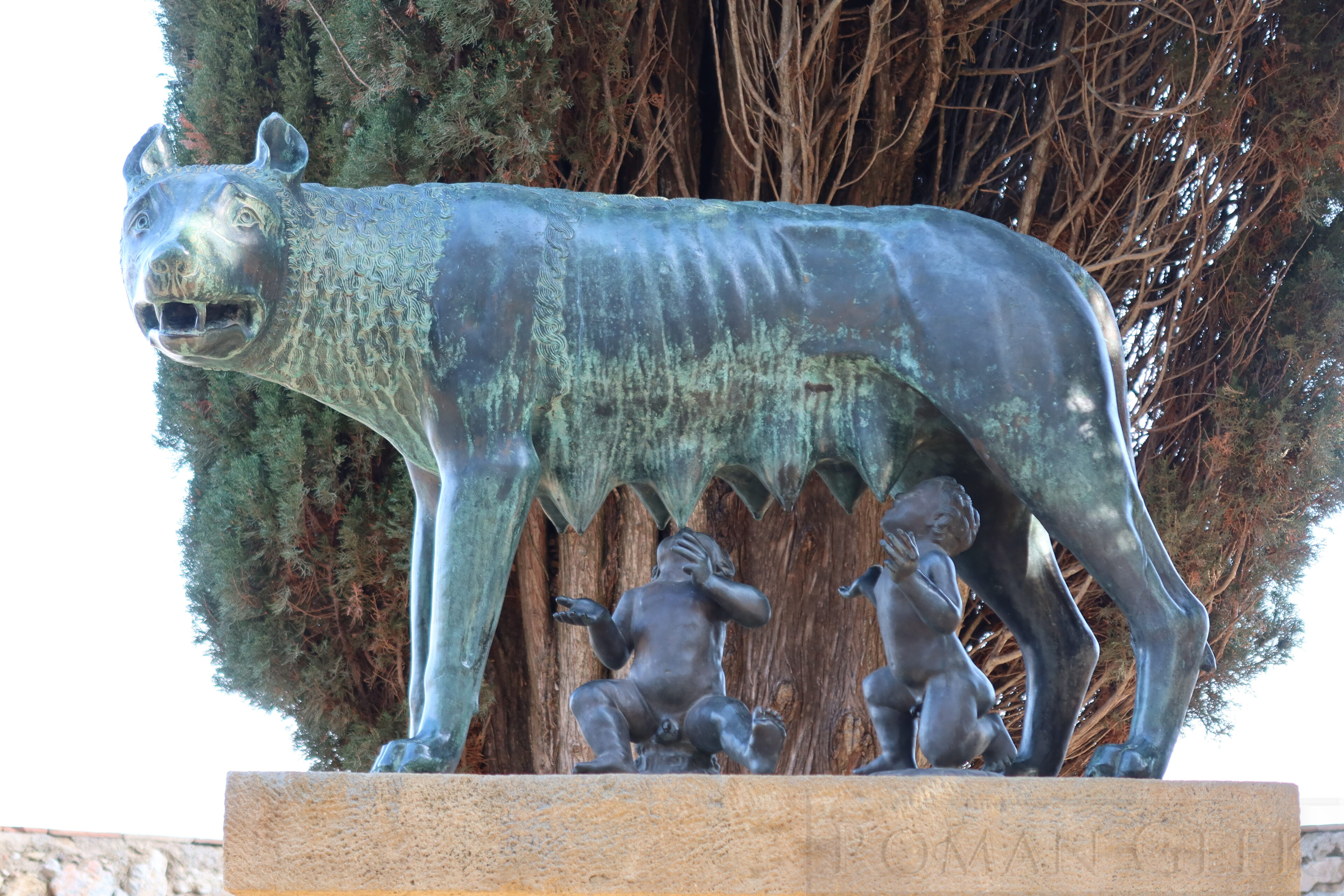 Romulus and Remus | Founding Legend of Ancient Rome - Roman Geek