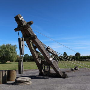 Roman Crane - Roman Geek